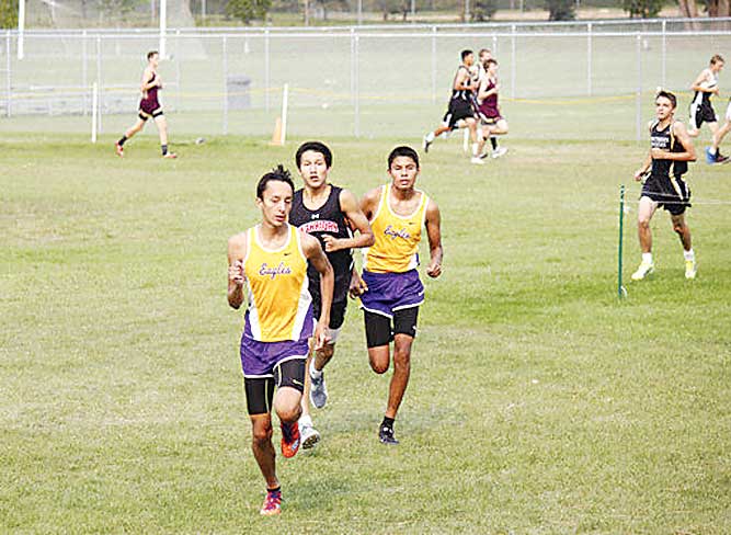 New Town runners building a dynasty | News, Sports, Jobs - Minot Daily News